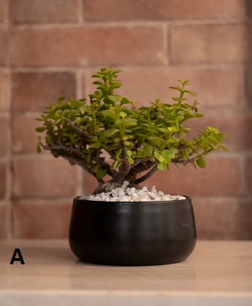 Handi Pot (HSN Code 7323) - VandituHub