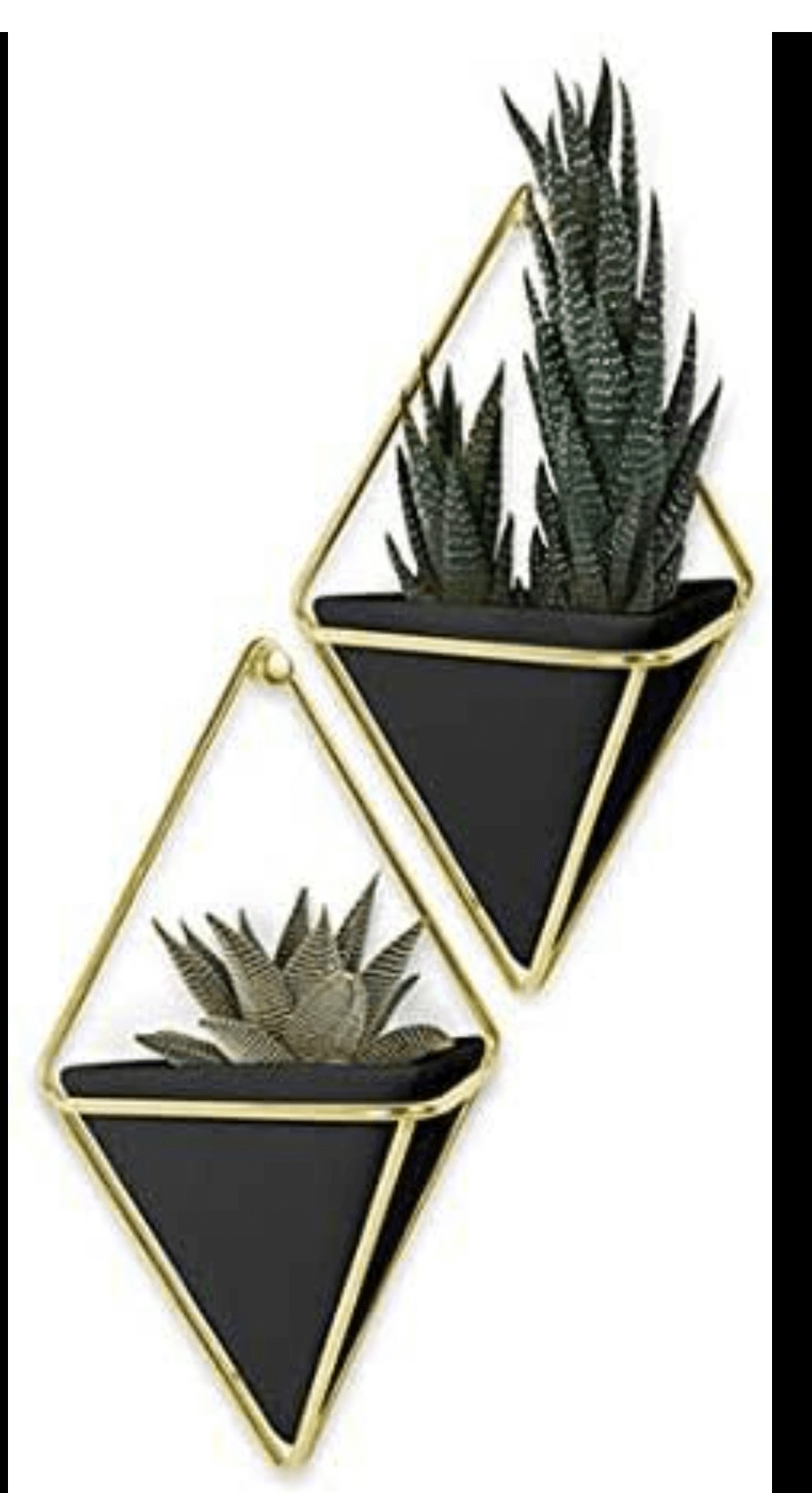 Iron Wall Hanging Planters (HSN Code 7323) - VandituHub