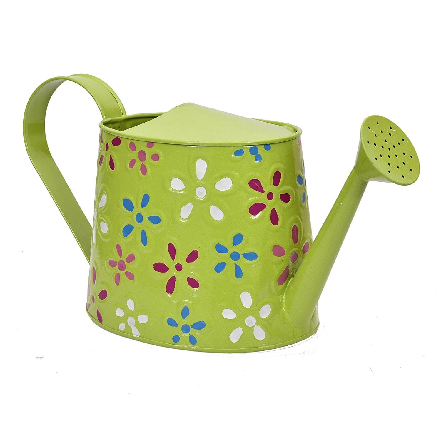 Plants Metal Water Cane - VandituHub