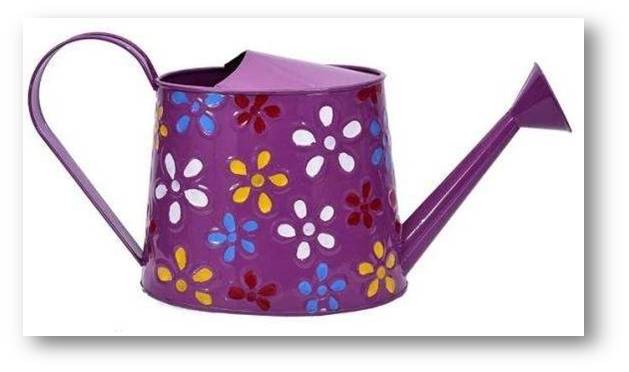 Plants Metal Water Cane (HSN Code 7323) - VandituHub